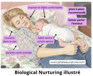 Biological Nurturing (BN) : la méthode naturelle pour allaiter sans ...